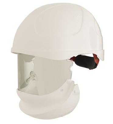 hard hat with integrated visor